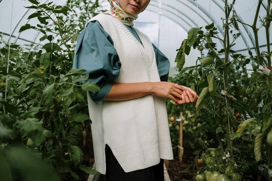 Perth Vegetable Planting Guide | Tips for WA Gardeners
